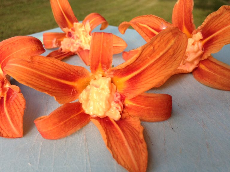 Edible Flowers List: 5 Plants for Culinary Creations - Countryside